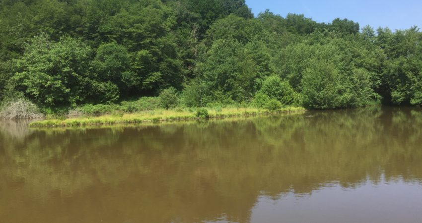 Accommodations – https://www.resortbousset.com